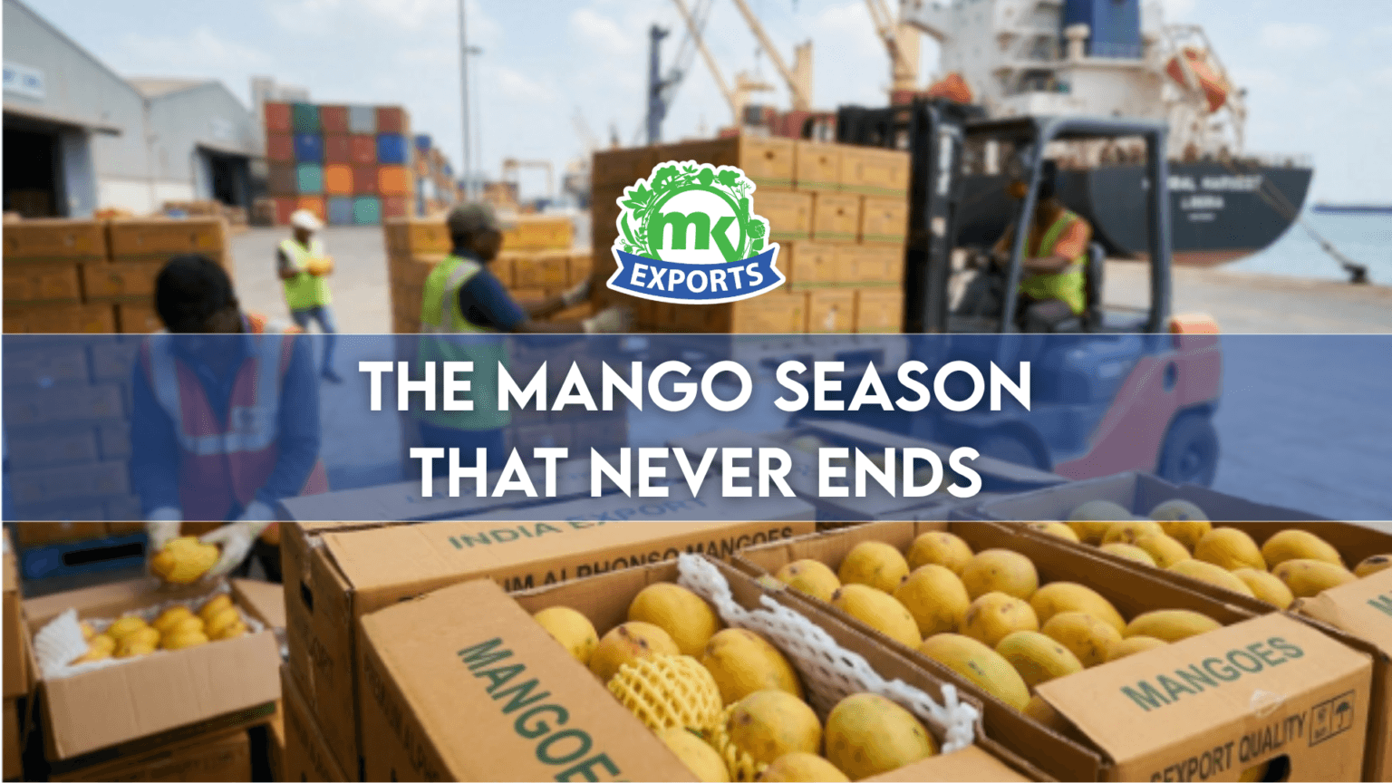 AAMZO - Because mango season never end